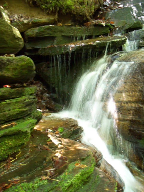 Where's Trevor: Angel Falls - Northern Georgia