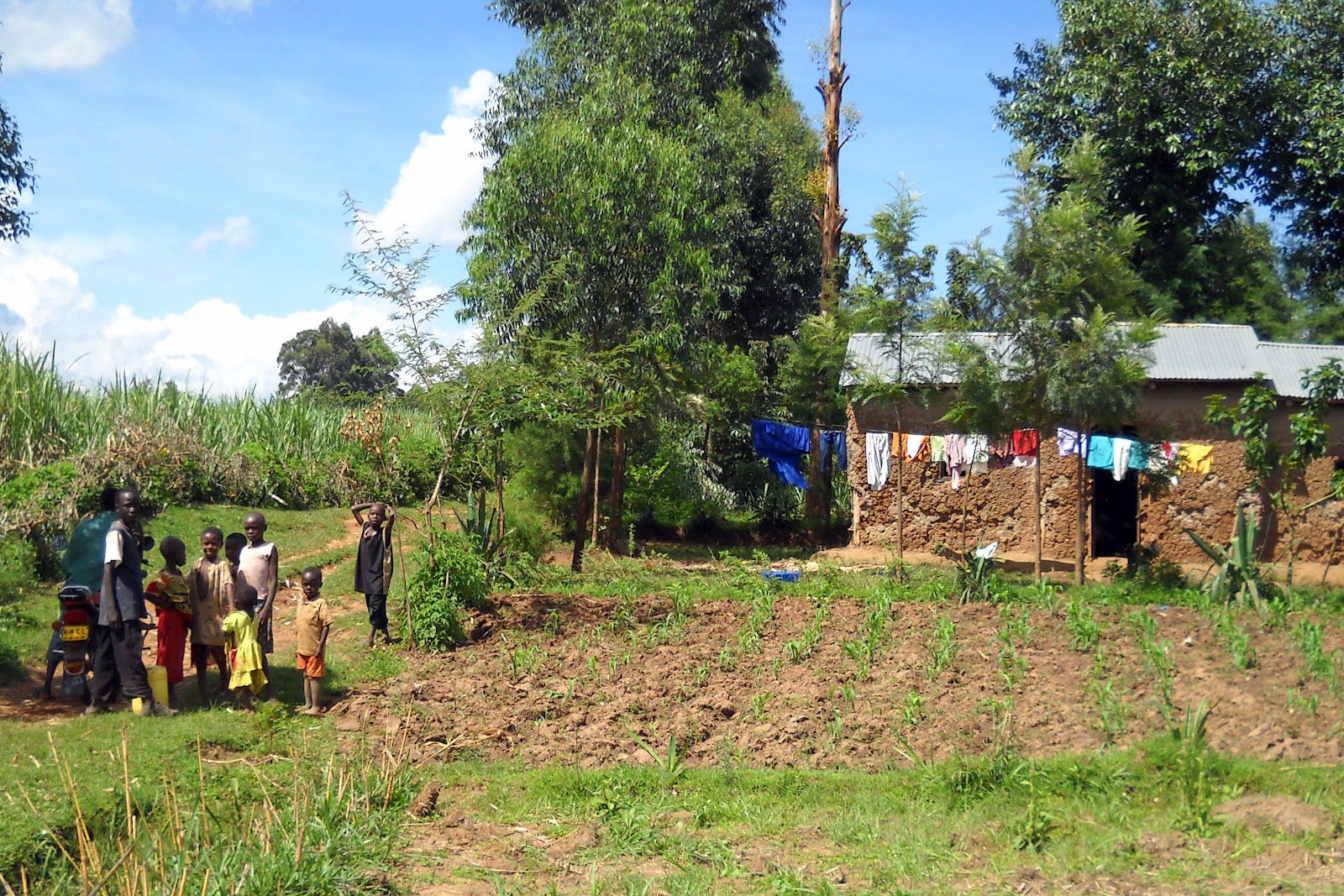 Ministry2Kenya: "Loving my Neighbor": Typical sights in rural Kenya