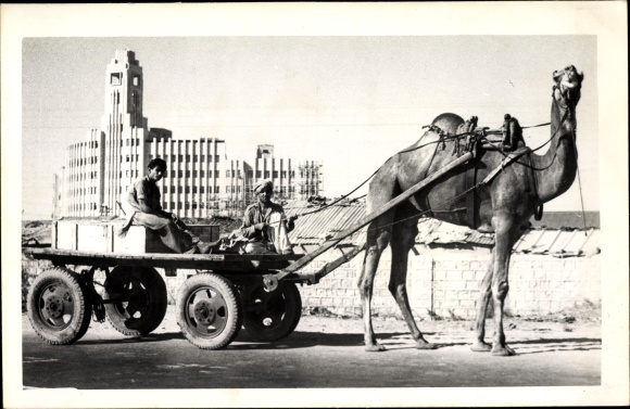 GANAR DINERO DESDE CASA: Karachi Karatschi Pakistan, Camel Cart
