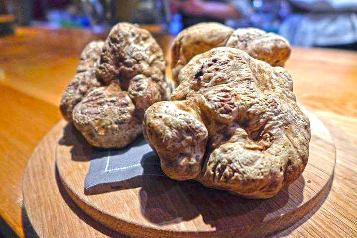 Valorisation des Produits de Terroir Marocain: Truffe du Maroc est un ...