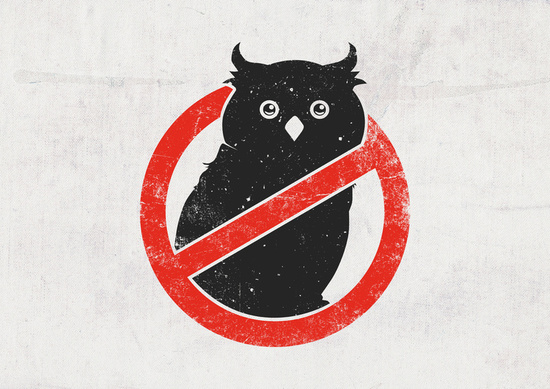 The Red Boat Mark Chronicles : The Hoot Owl is officially dead in SW ...