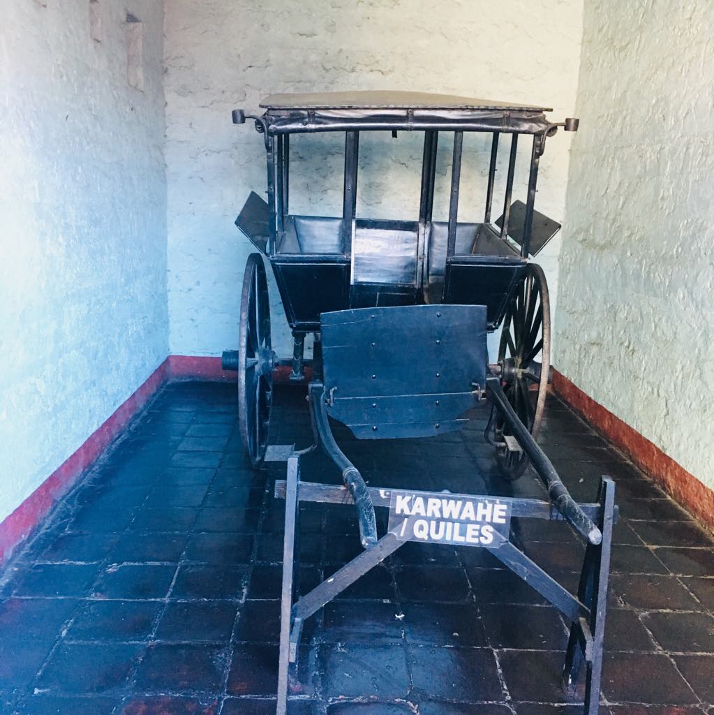 HUMANITIES: Art Appreciation