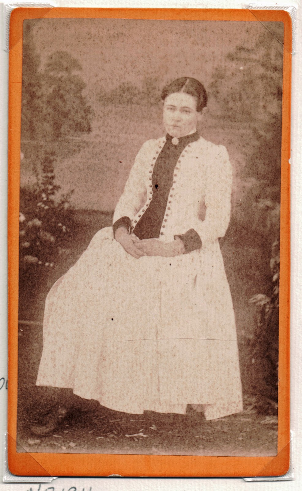 Family Tree Blossoms: N is for Naish