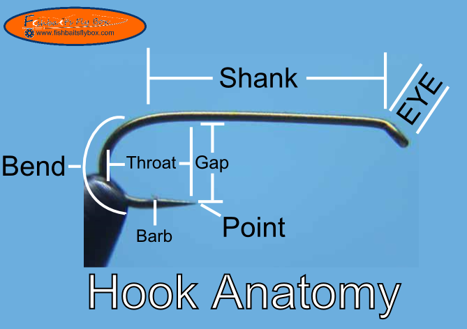 Fishbait's Fly Box: Hook Jargon: Anatomy and Abbreviations