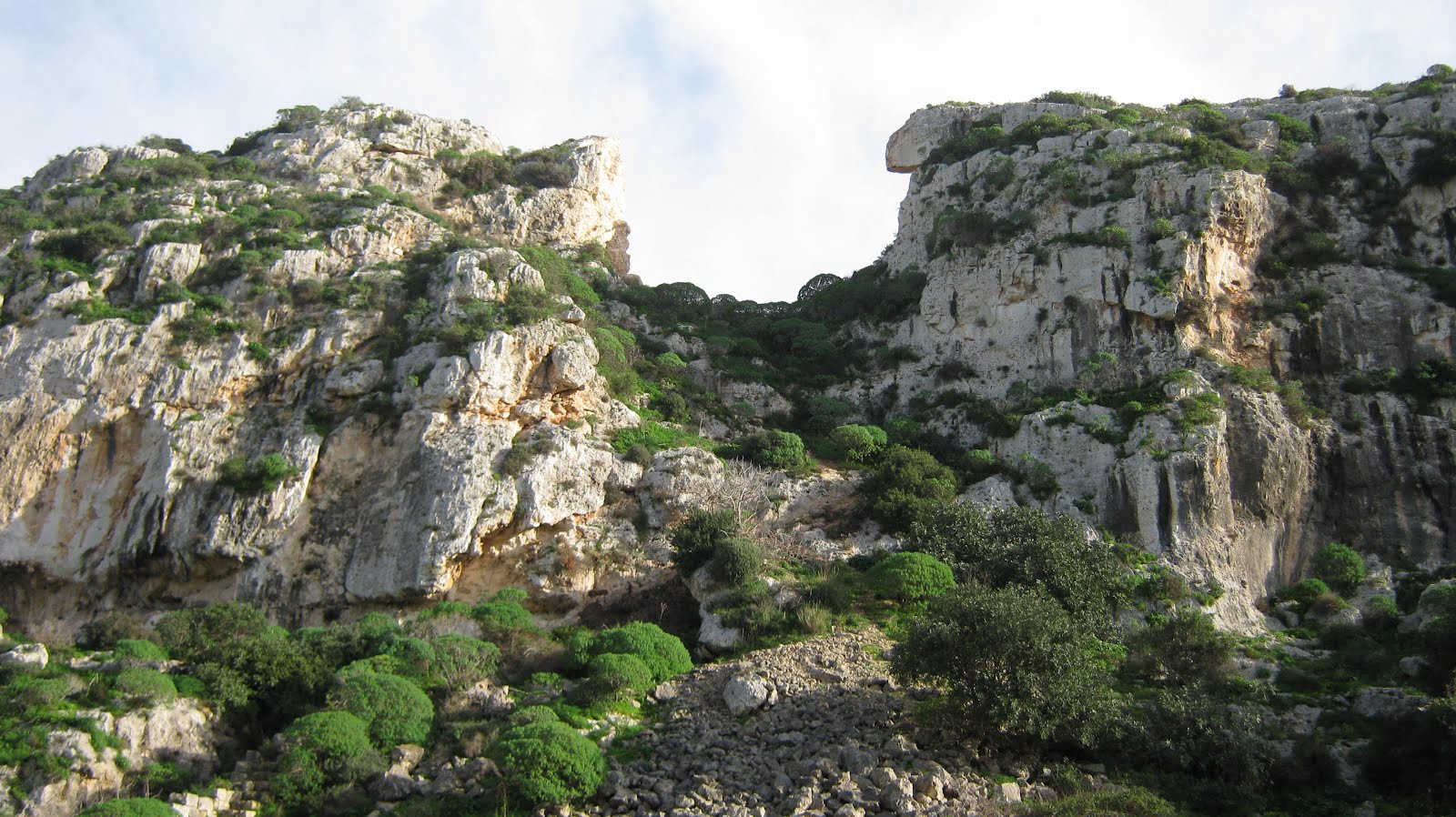 Alex Cassar: Arch1101