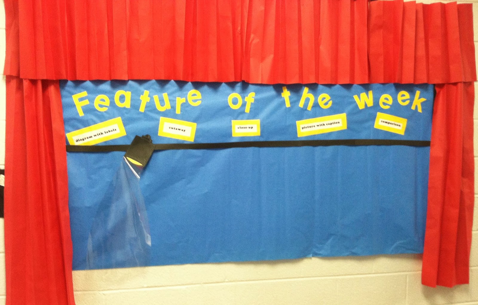 Everything Library: Nonfiction feature of the week