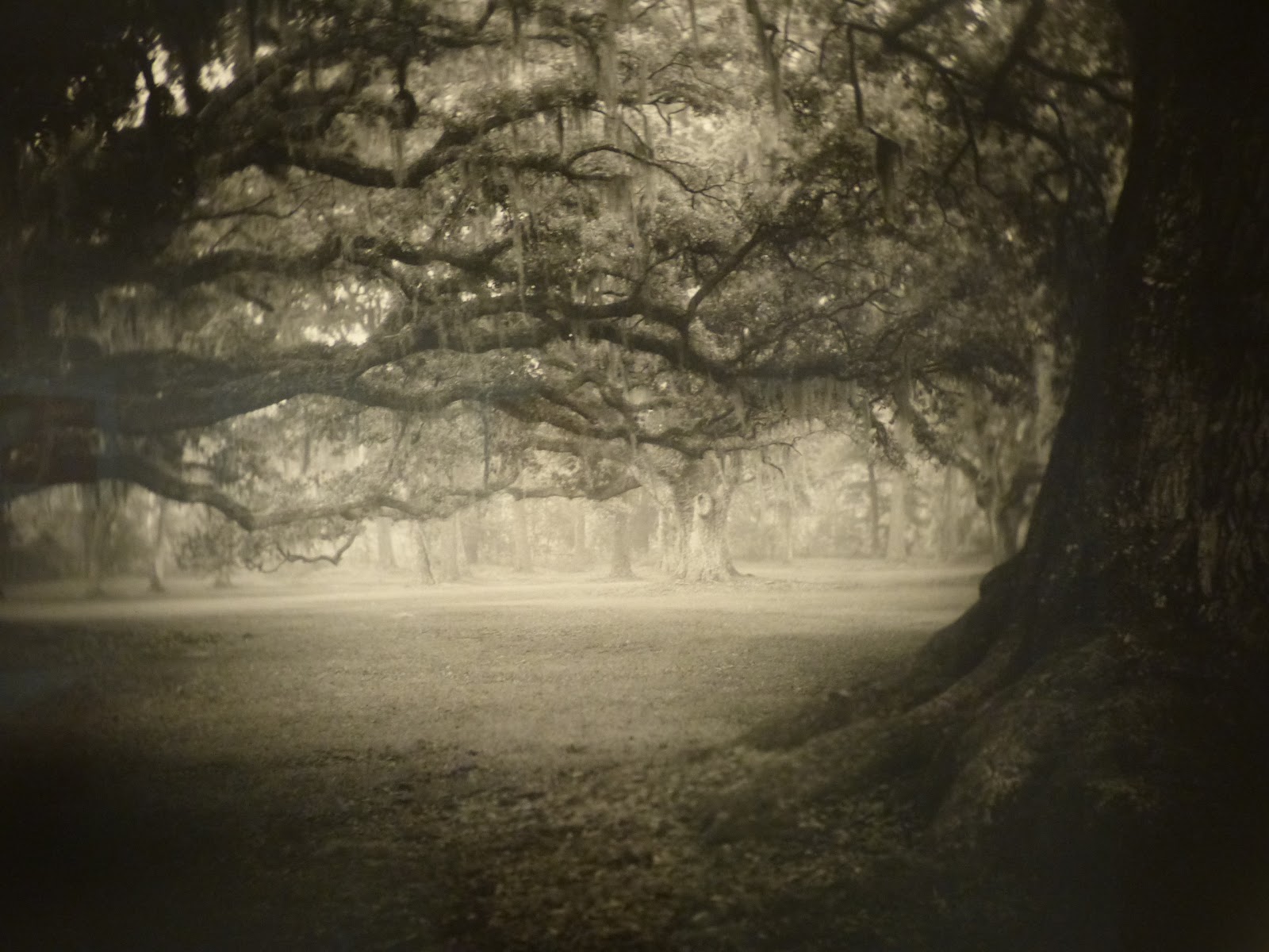 Off-Center Views: Sally Mann: A Retropsective Exhibit