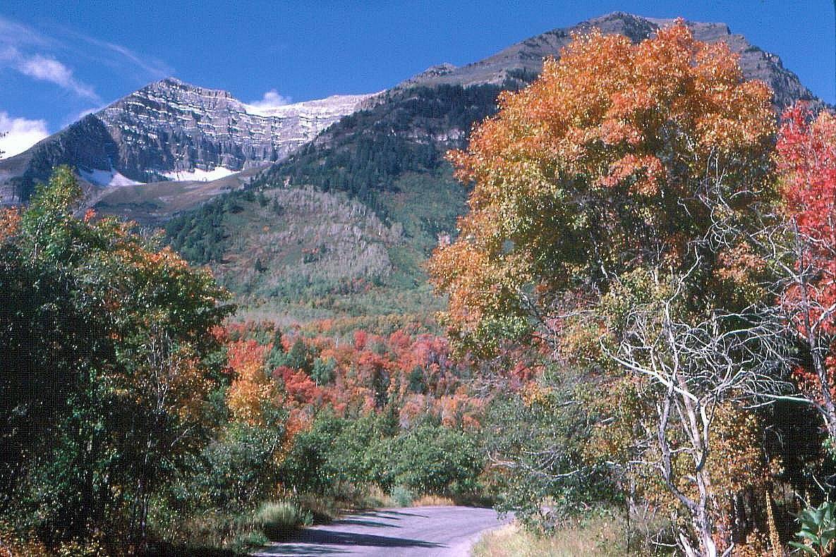 Critter Sitter's Blog: Independence Pass & Utah Views