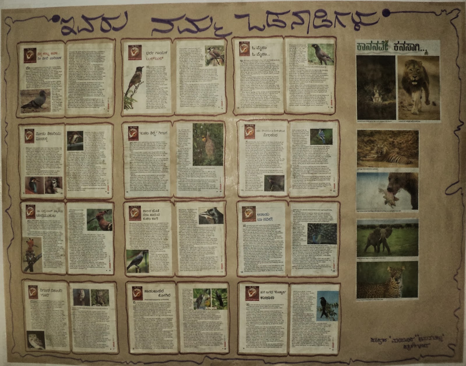 Hasiru Hejje: October 2013