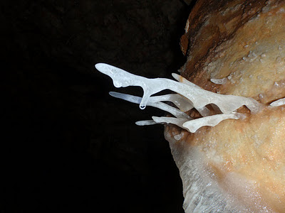 Modest Riders: La SCSP se jette à l'eau !!! (Baume Salène,Méjannes-le ...