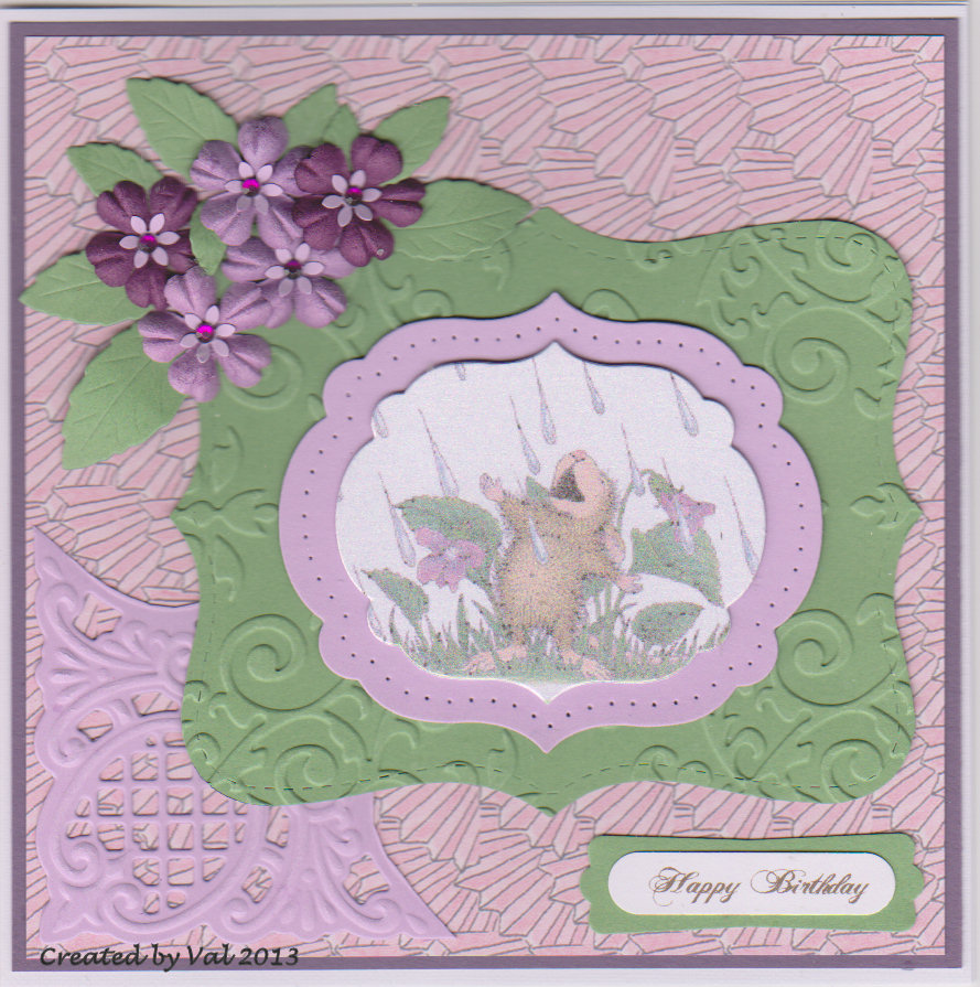 Aquarius Blog: House Mouse in the Rain