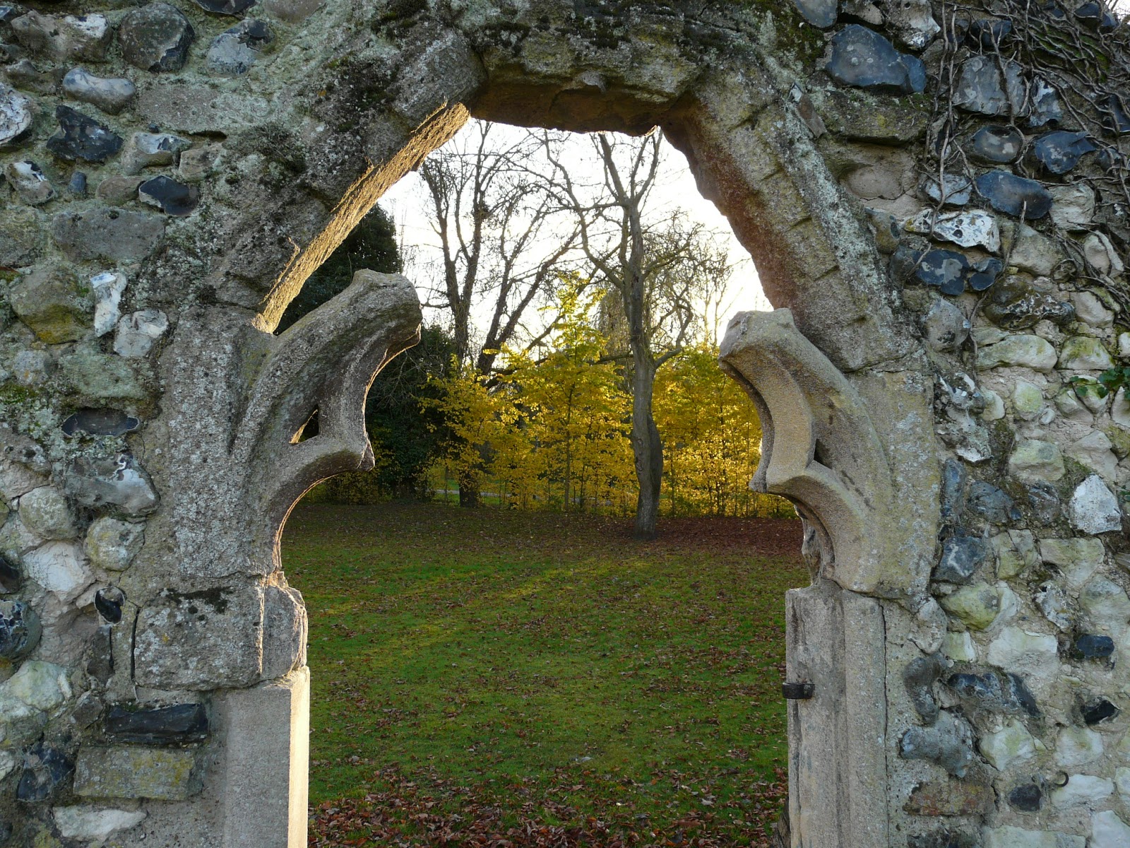 Cindy's Snaps: Thetford Priory, Nunnery Lakes Nature Reserve and ...