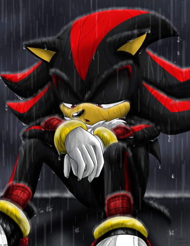 History Team Future Hedgehog: 294.-La tristeza de shadow.