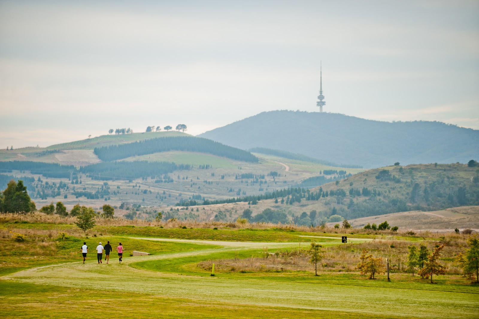 Stromlo XC Intervals 600m 3 X 800m 200m Jog Recovery