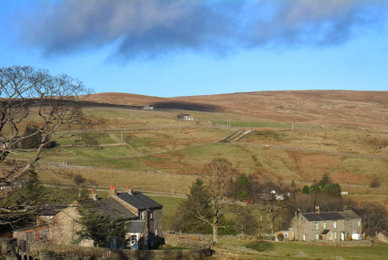 Heather in Cowshill: Bents Cottages & The Highlands