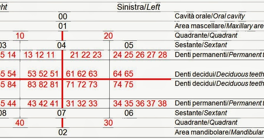 Come funziona? Info Tecnico Commerciali per il Personale di Vendita ...