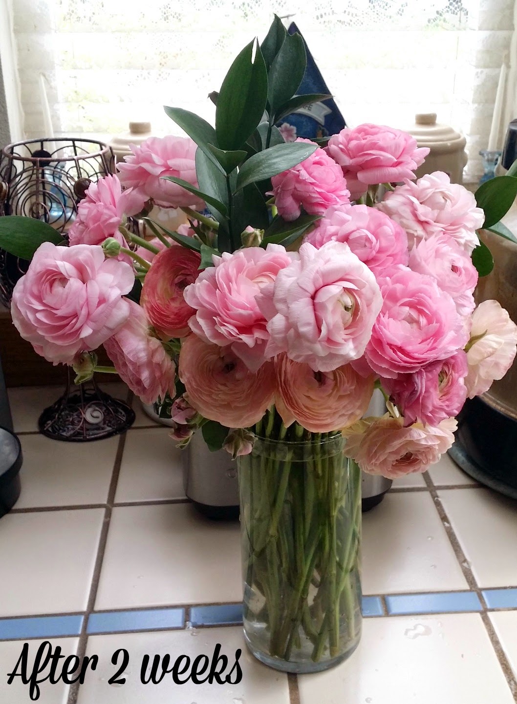 Tickled Pink in the Rain