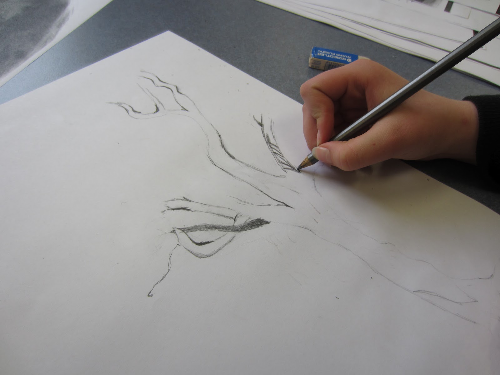 The Little Classroom Up the Back: The Burnt Stick