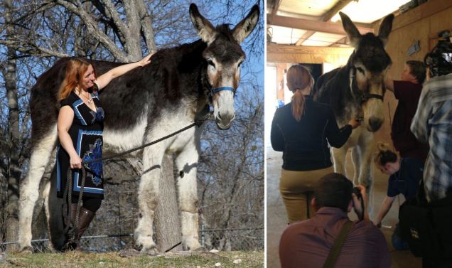 Please enable JavaScript