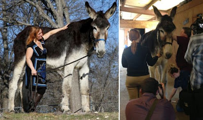 Please enable JavaScript