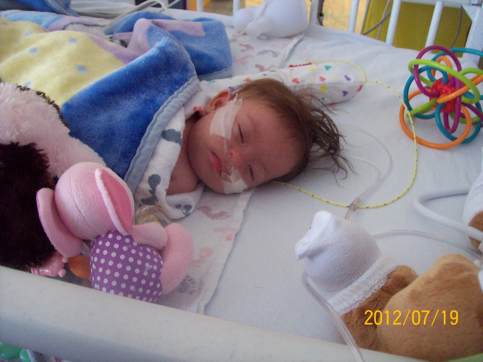 Adventures with my special kids