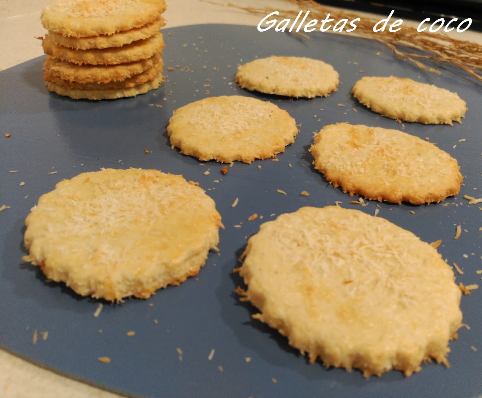 marronglacè: Galletas de coco