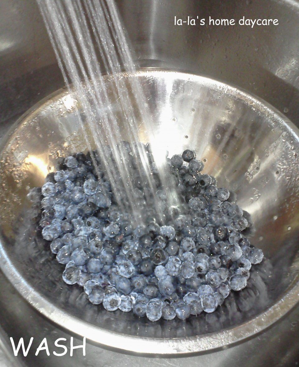 La-La's Home Daycare: Blueberries for Sal | Unit Lapbook