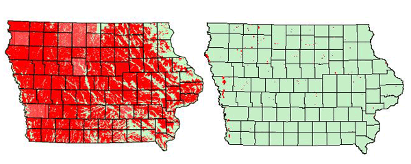 Virtual Prairie Field Trip Blog: What is a Prairie?