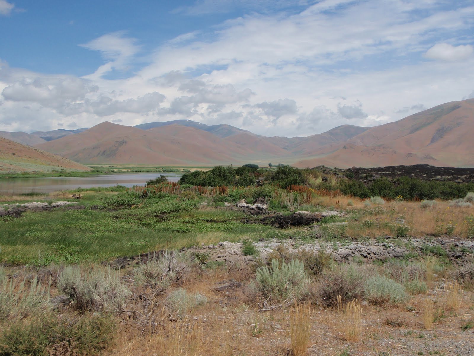 Marti's Musings: There's Something About the Arco Desert