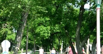 Chuck's Adventures: Biking the Illinois Prairie Path