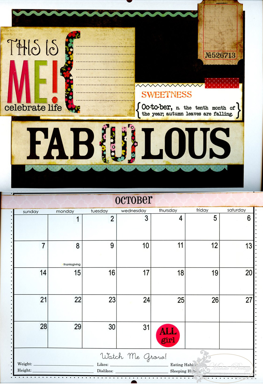 SRM Stickers: Baby's First Year Calendar by Michelle & Winner