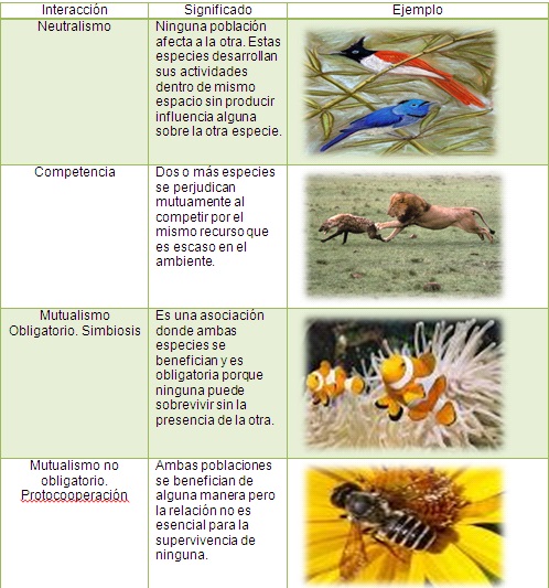 TRABAJO COLABORATIVO : RELACIONES INTERACCIONES INTER E INTRA ESPECÍFICAS