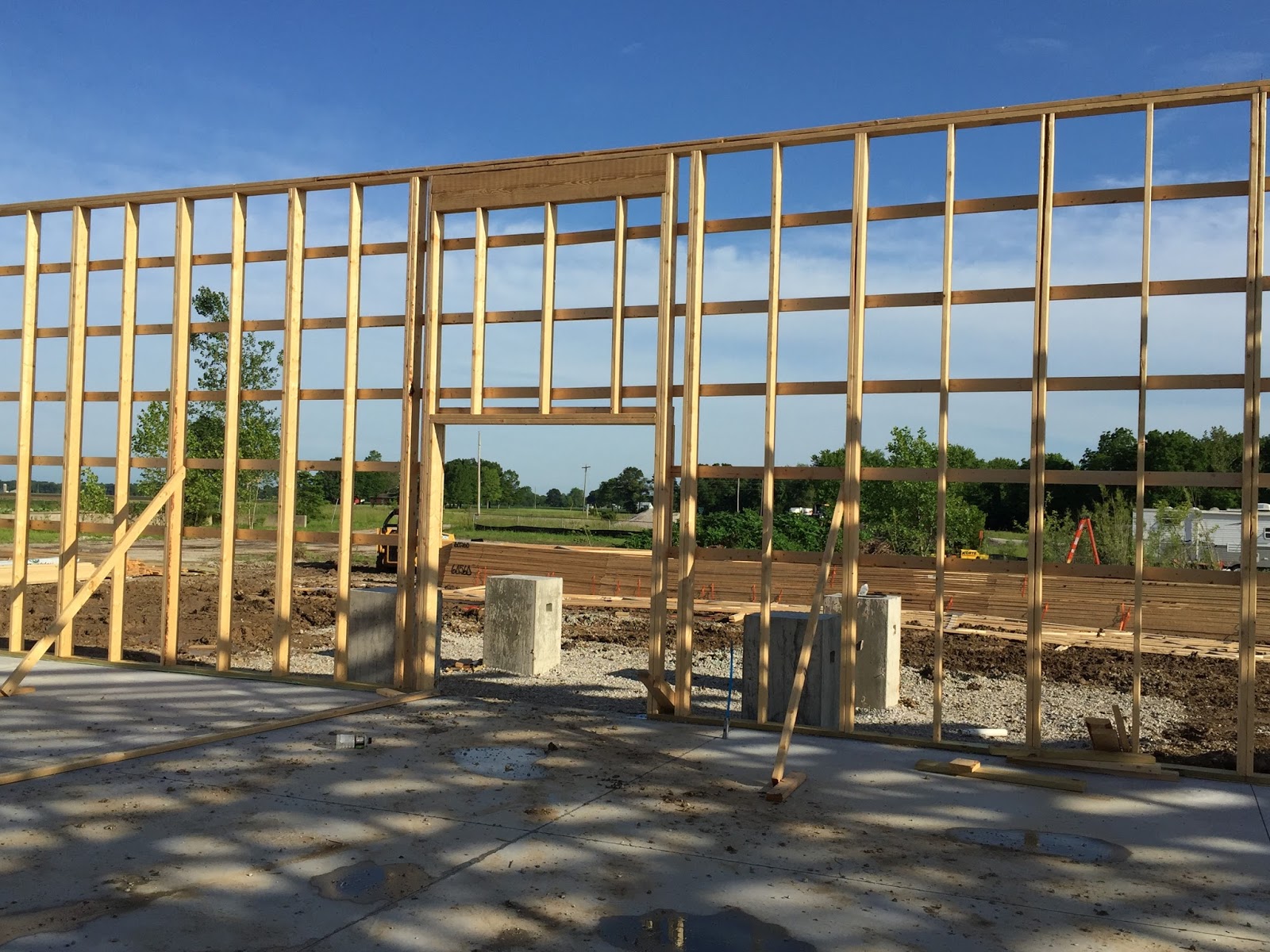 .: Building The Chirping Frog- Part 12