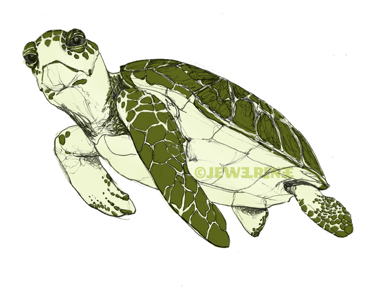 Jewel Renee Illustration: Sea Turtle Illustration In Progress