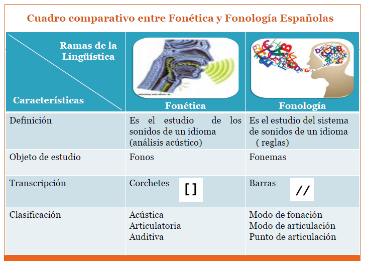 ¡FONOAUDIOLOGÍA Y SALUD!: DIFERENCIAS FONÉTICAS-FONOLÓGICAS ¡FONOAUDIOLOGÍA Y SALUD!: DIFERENCIAS FONÉTICAS-FONOLÓGICAS