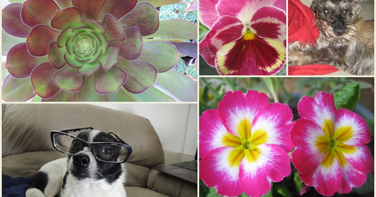 Fables of Fused Floral Fails and Finally a Finish!