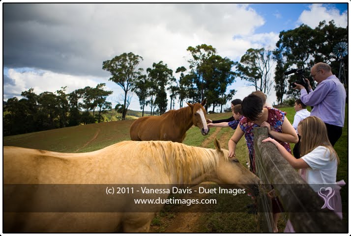 Bronwyn & Jackson's Wedding - Reception at Forest Edge Restaurant ...