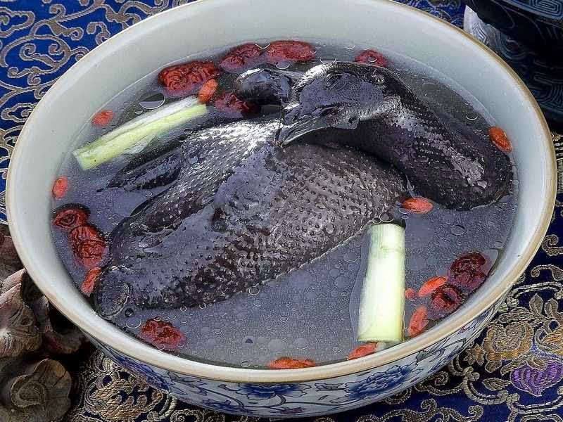 ¿Pollos de color negro? - Nueva Mentes