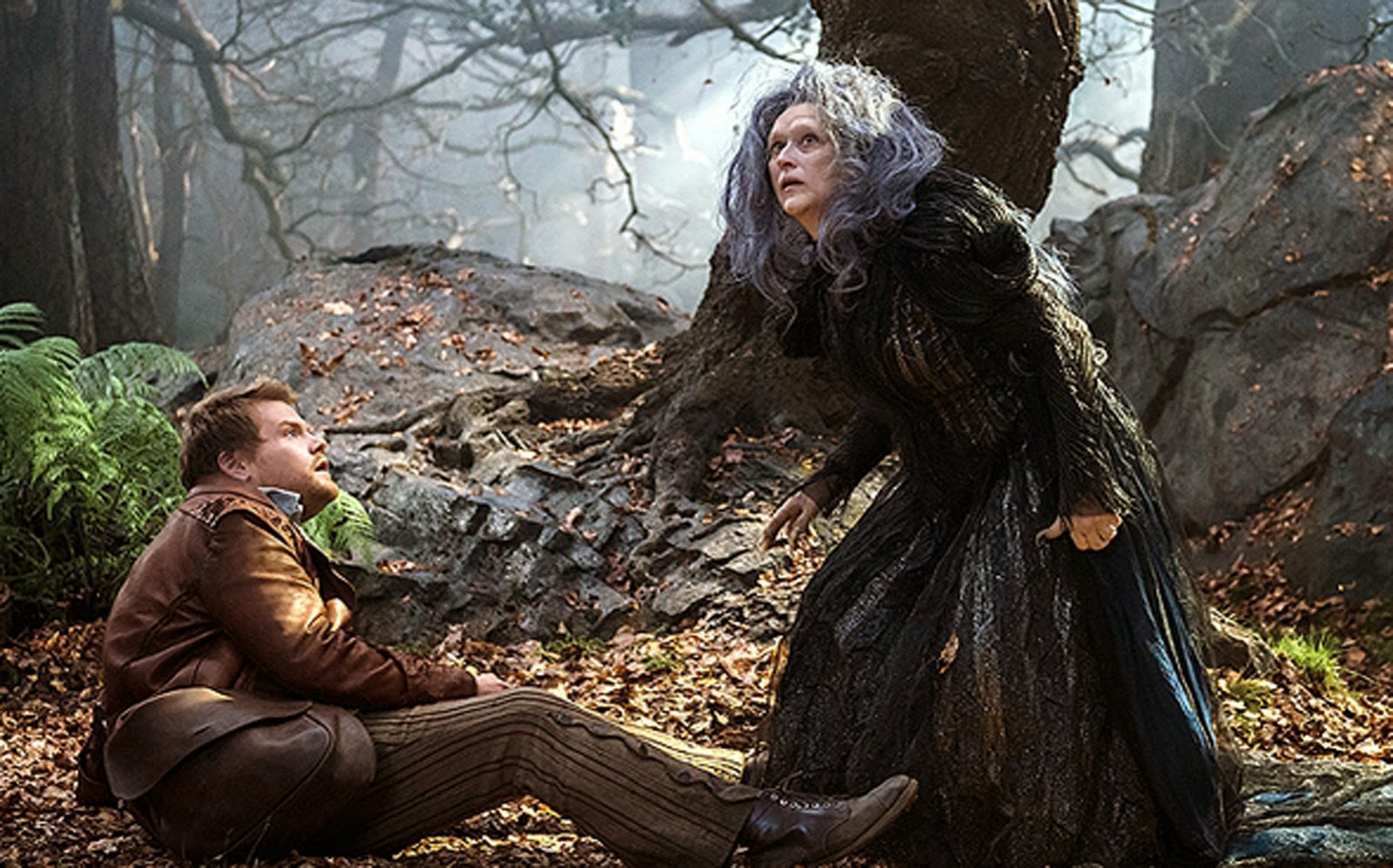 Back Seat Viewer: Movie Review: Into the Woods (2014) Back Seat Viewer: Movie Review: Into the Woods (2014)