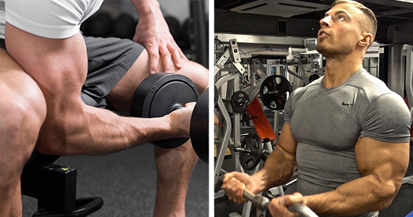 The Biceps Exercises You Need To Get Bigger Biceps - SHREDDEDFIT