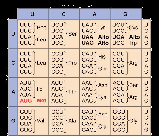 Mediateca Liceo 7 - Paysandú: Material de estudio 4to