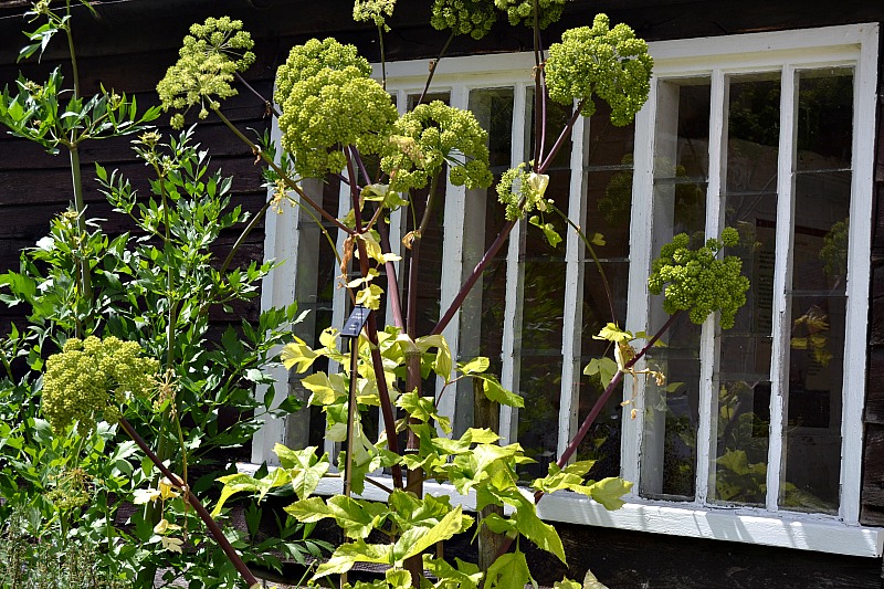 KahviKaneli Virkkaa: Jane Austen's House Museum, Chawston, England.
