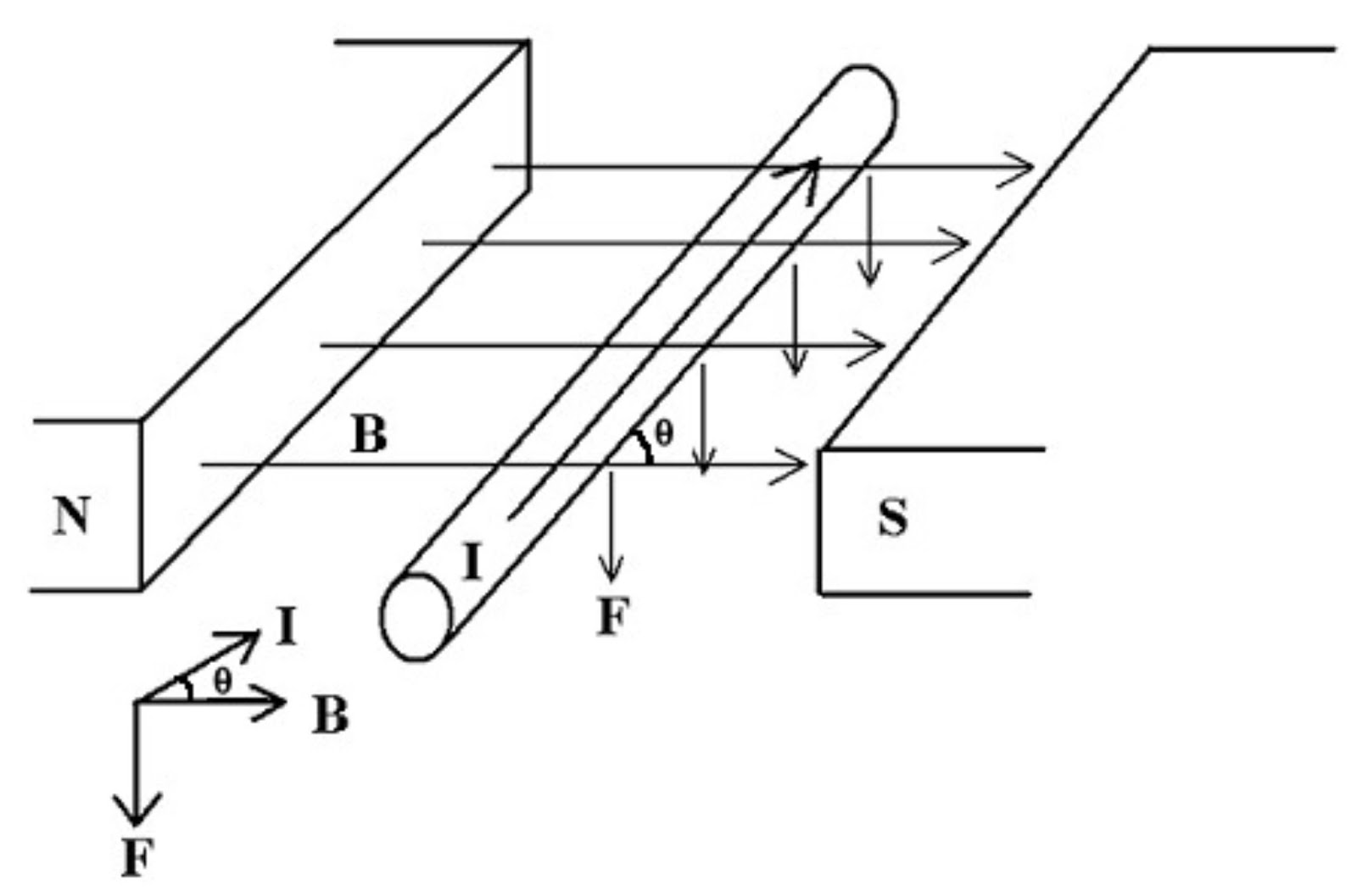Physics 12: Magnetism: Magnetic Field and Force
