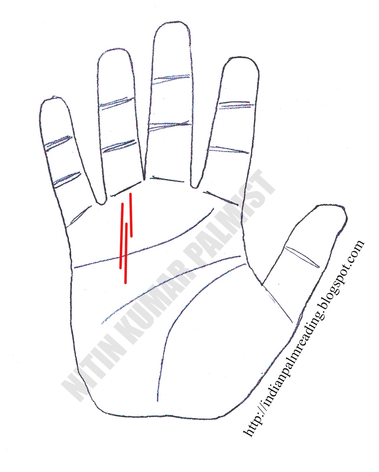 Double Sun Line Or Multiple Sun Lines In Palmistry ~ INDIAN PALMISTRY ...