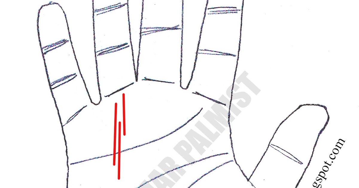 Double Sun Line Or Multiple Sun Lines In Palmistry ~ INDIAN PALMISTRY ...