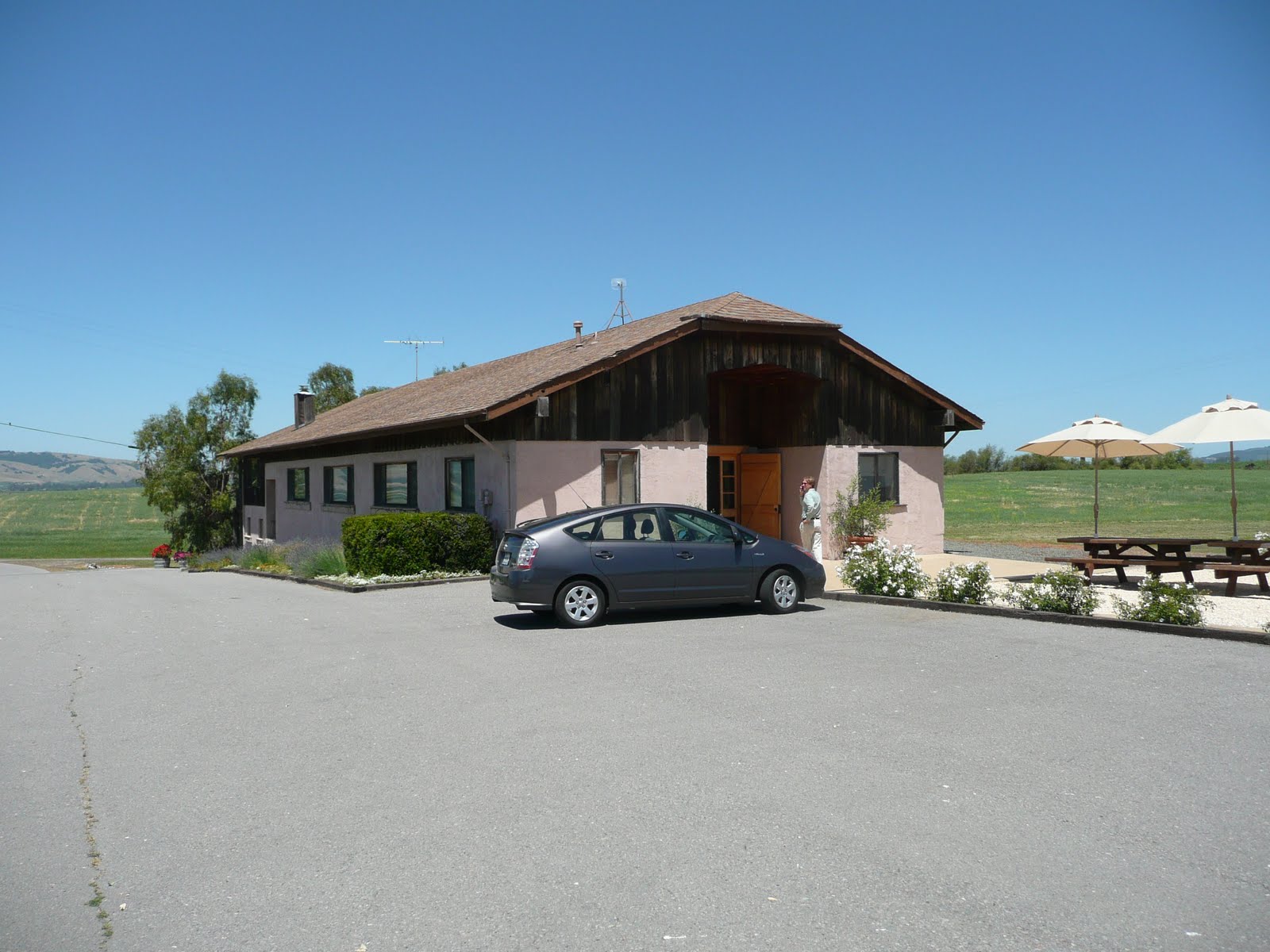 schiller-wine: Visiting Anne Moller-Racke and her Donum Estate in ...