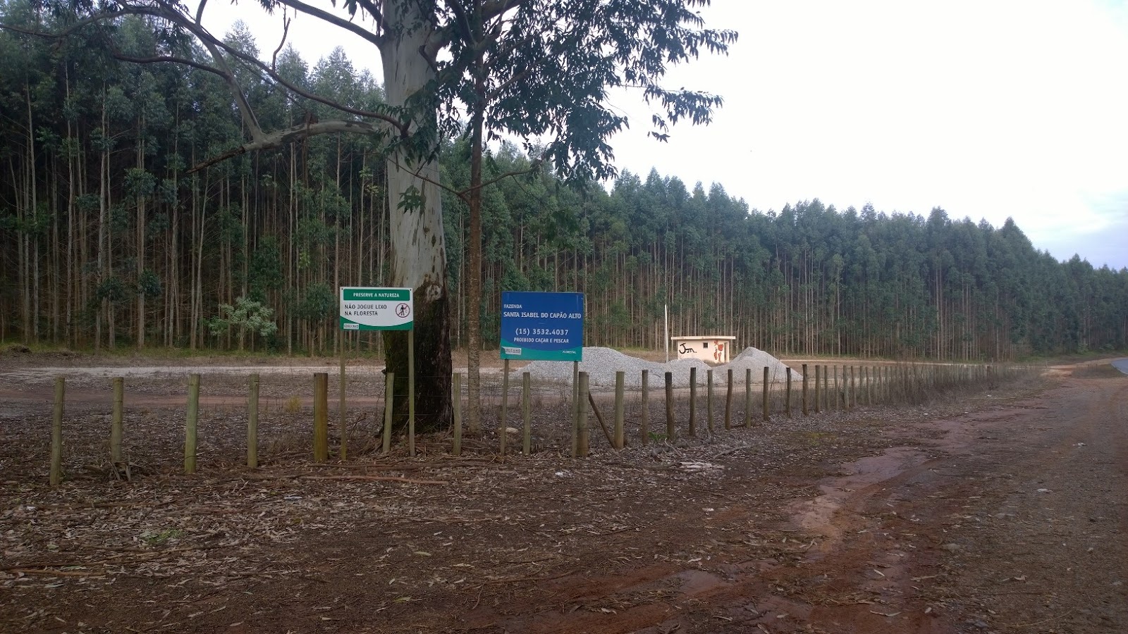 CÂNION DO PIRITUBA E CACHOEIRA DO PALMITO MOLE EM ITAPEVA, SÃO PAULO ...