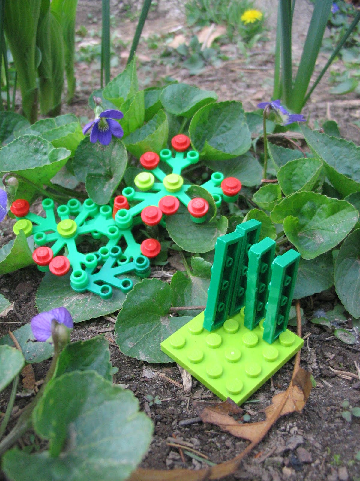 LEGO Quest Kids: Growing Photos