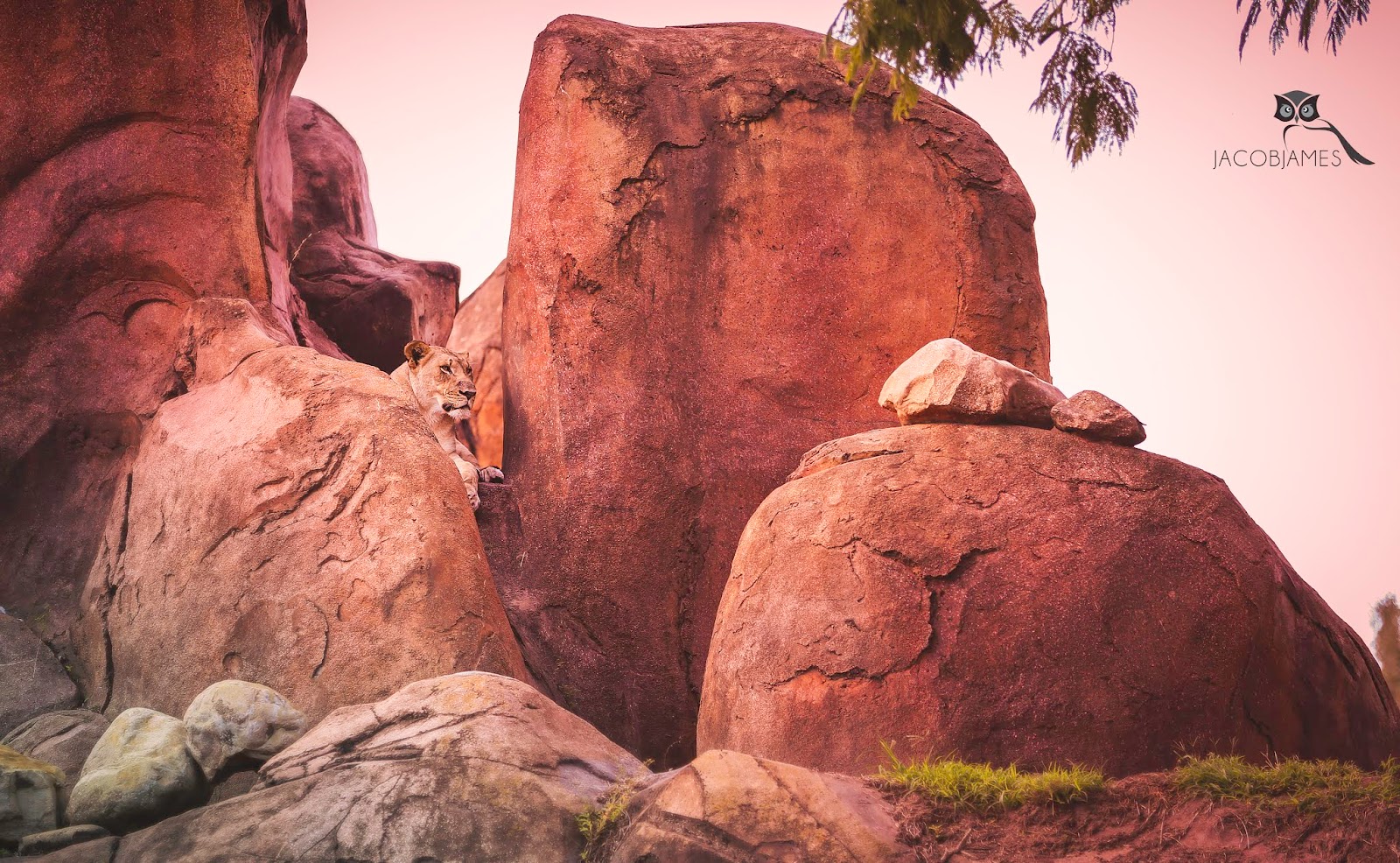 Jacob Calverley - Storyteller