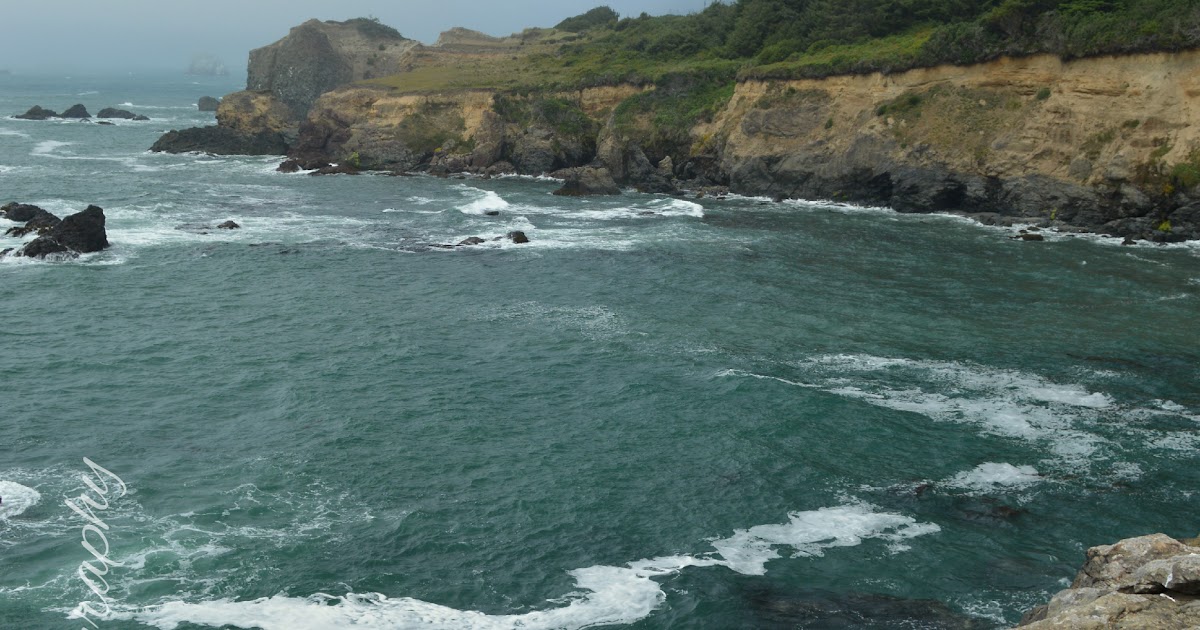 Photography & Misc || On Adulthood